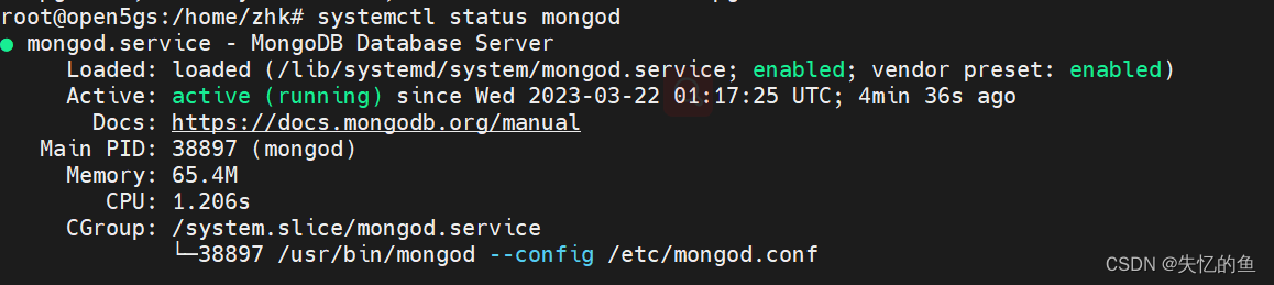 Ubuntu 22.04 安装开源5G核心网（Open5GS）_open5gs 是什么-CSDN博客