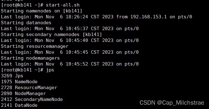 启动Hadoop时，无法启动Datanode解决方案_datanode无法启动-CSDN博客