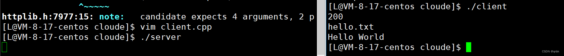 云备份项目_10.0.8.17-CSDN博客