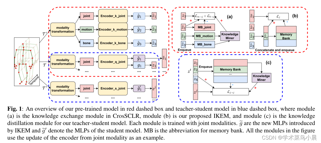 基于骨架的人体动作识别:Elevating Skeleton-Based Action Recognition with Efficient ...