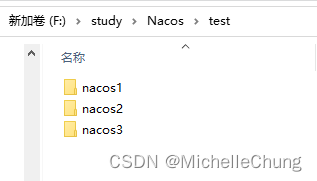【RuoYi-Cloud-Plus】学习笔记 02 - Nacos（二）寻址机制之文件寻址分析_ruoyi cloud plus nacos 集群-CSDN博客