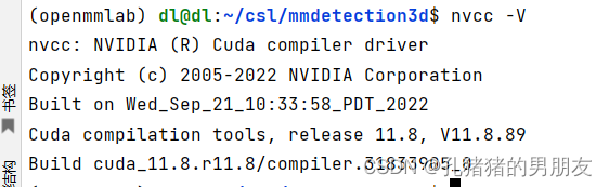 Mmdetection3d学习笔记--bevfusion跑通 在nuscenes v1.0-mini数据集上_bevfusion训练自己的数据集-CSDN博客