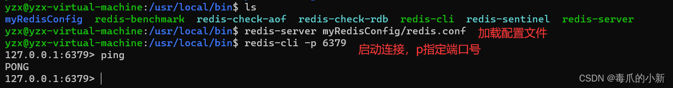 Linux安装配置Redis_linux安装redis-dump固定版本-CSDN博客