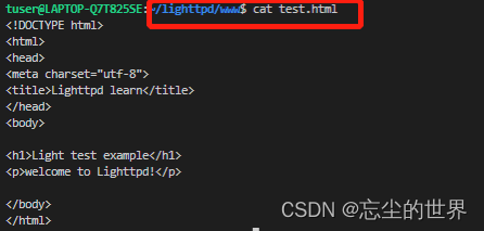 【章节 一】嵌入式Web Server Lighttpd安装、配置、开发详细流程_嵌入式webserver-CSDN博客