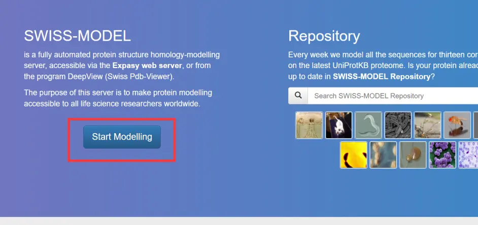 modeller建模-CSDN博客