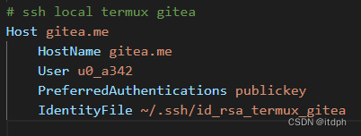 安卓手机搭建Gitea-自己的git服务器_手机使用git-CSDN博客