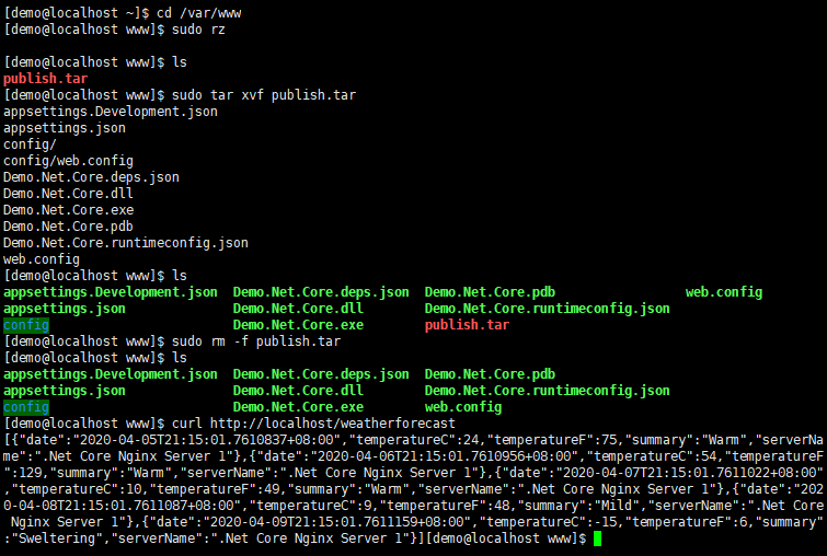 liunx部署.net Core_jiaxin.che的博客-CSDN博客