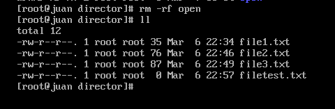在/tmp目录下，新建目录director新建三个txt文件，分别命名为file1、file2、file3，用vi编辑器分别在三个文件中输入内容_新建文件file2,file3;-CSDN博客