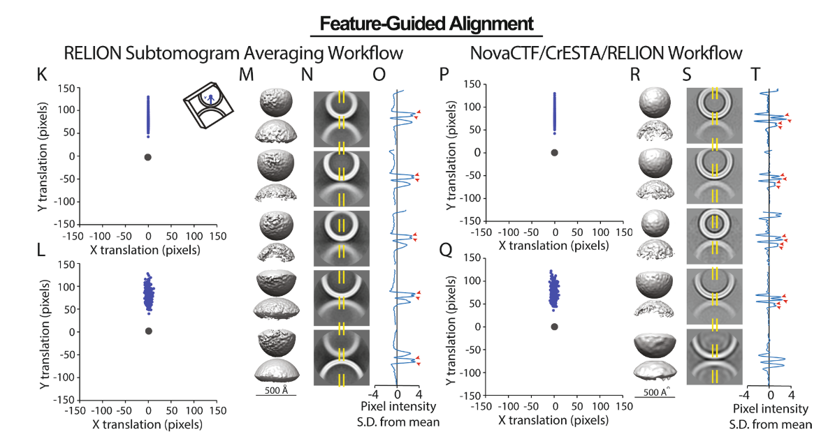 【冷冻电镜|论文阅读】A feature-guided, focused 3D signal permutation method for subtomogram averaging_冷冻电镜 ...