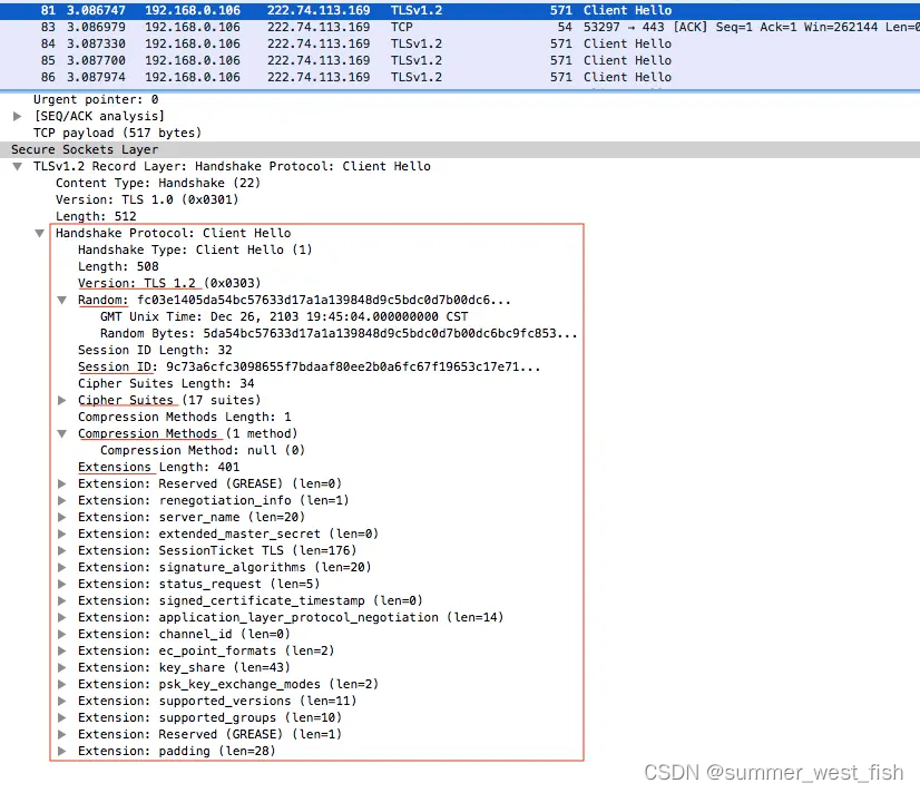 TLS 详解-CSDN博客