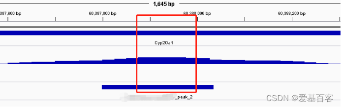 ChIP专题 | 如何进行ChIP-qPCR富集验证-CSDN博客