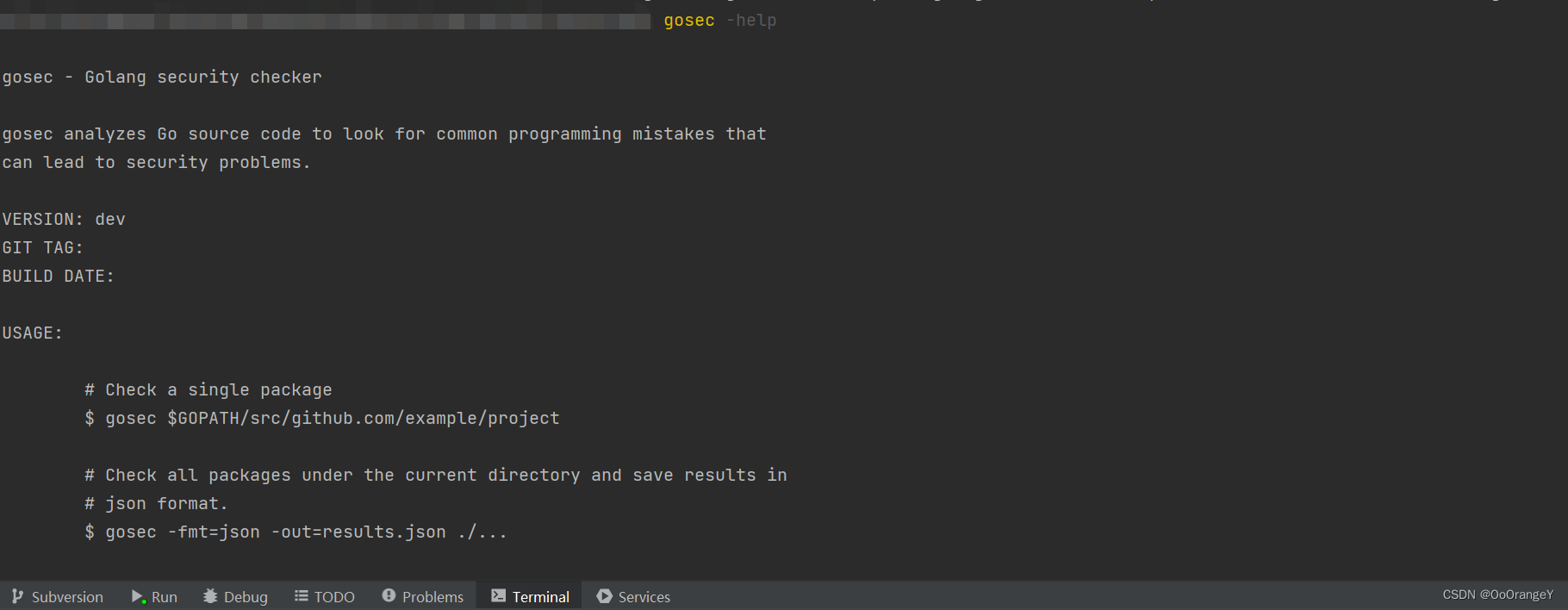 使用gosec工具对golang项目进行安全检查-CSDN博客