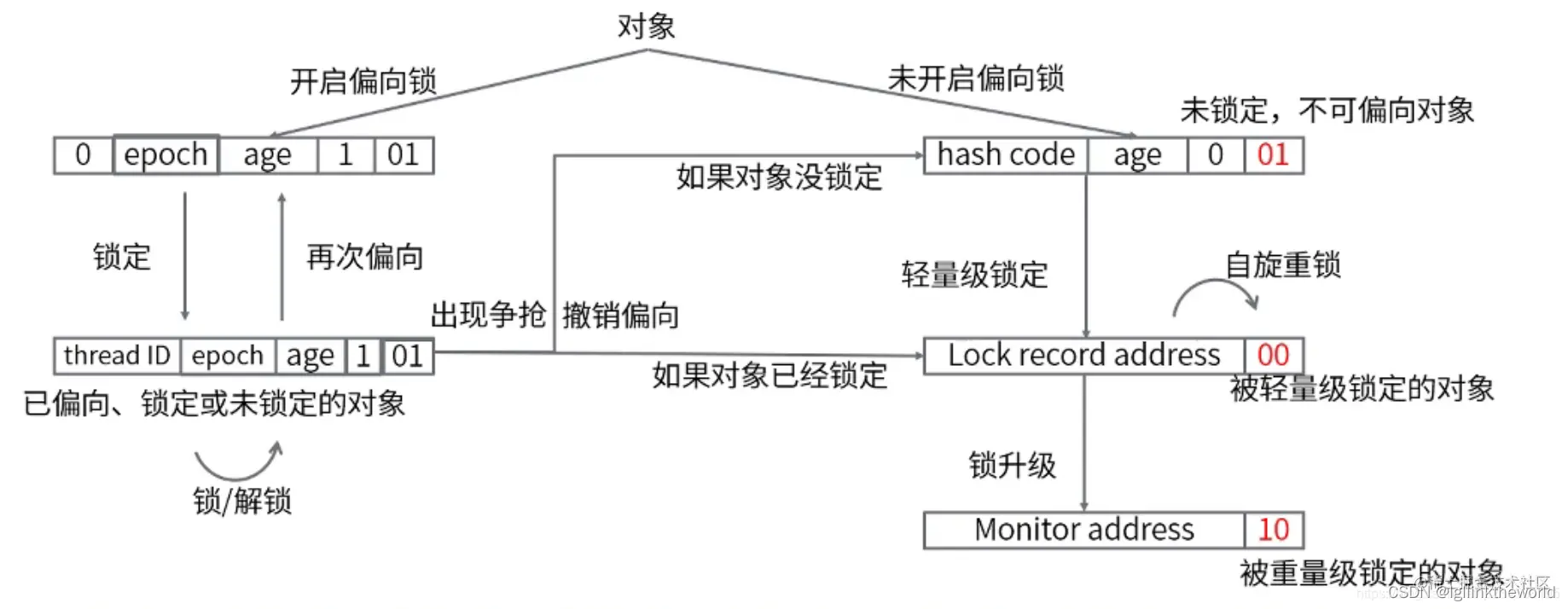 Java中的锁升级过程 -- 无锁、偏向锁、轻量级锁、重量级锁_偏向锁怎么升级为轻量级锁-CSDN博客