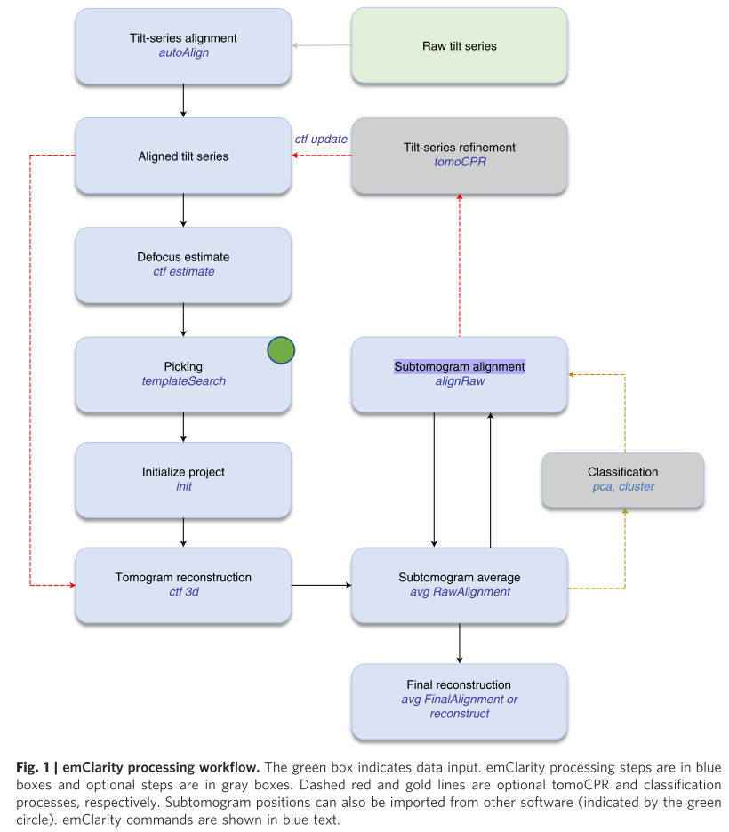 【冷冻电镜|论文阅读】emClarity：用于高分辨率冷冻电子断层扫描和子断层平均的软件_ctf correction-CSDN博客