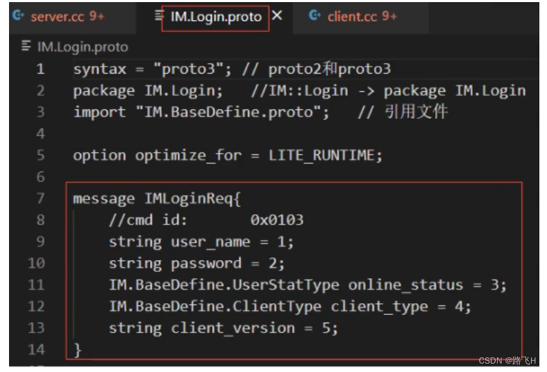 高效的网络传输协议设计protobuf_protobuffer协议-CSDN博客