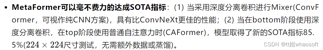 MetaFormer-1_metaformerv1-CSDN博客