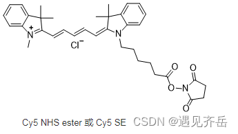 CY5-NHS酯|Sulfo CY5-N-羟基琥珀酰亚胺|花菁染料CY5标记N-羟基琥珀酰亚胺_cy5 nhs-CSDN博客