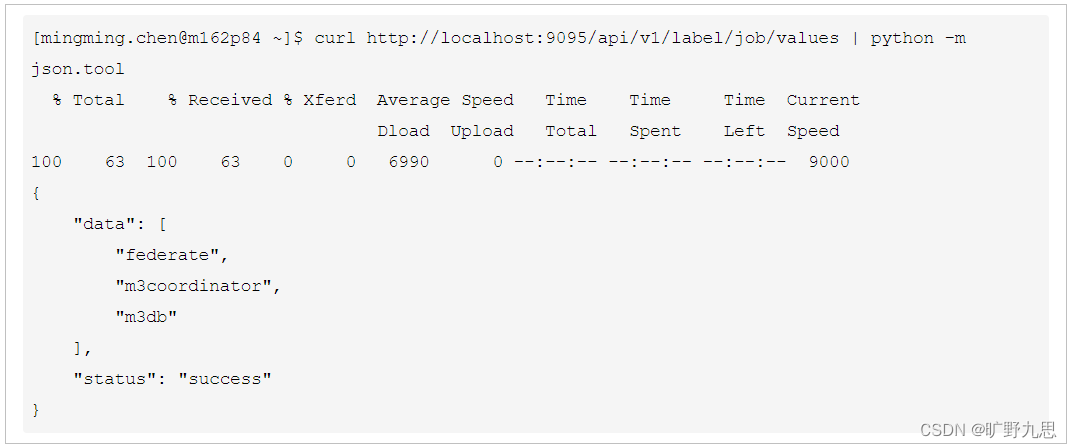 Prometheus查询API说明文档_prometheus 查询接口_旷野九思的博客-CSDN博客