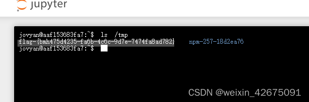 jupyter-notebook 命令执行 （CVE-2019-9644）漏洞复现_jupyter漏洞-CSDN博客