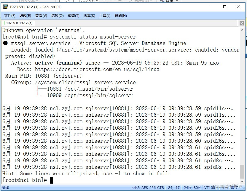 Mssql数据库的安装与使用mssql安装 Csdn博客 