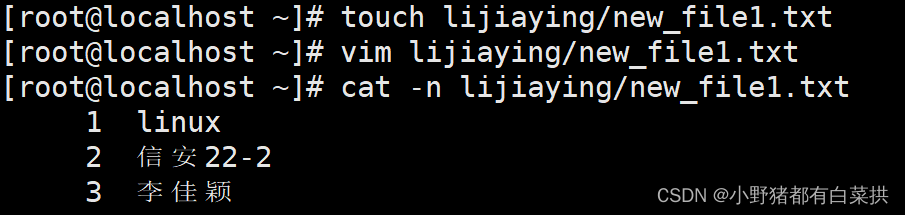 linux操作题复习_1.将用户切换为管理员,并使用“hostnamectl set-hostname 姓名全拼音” 命令-CSDN博客