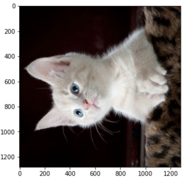 albumentations.HorizontalFlip、Rotate、RandomBrightnessContrast、ShiftScaleRotate、ToTensorV2等增强方法测试 ...