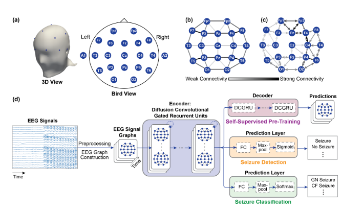 论文阅读 9 | SELF-SUPERVISED GRAPH NEURAL NETWORKS FOR IMPROVED ELECTROENCEPHALOGRAPHIC SEIZURE ...