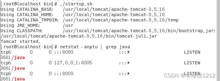 系统学习Linux-Tomcat基础部署_linux 使用tomcat部署-CSDN博客