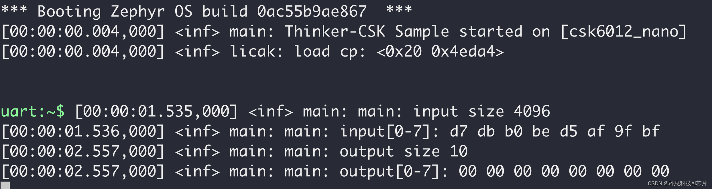 AI模型训练部署：在CSK6芯片上运行AI模型_将训练好的模型嵌入到芯片-CSDN博客