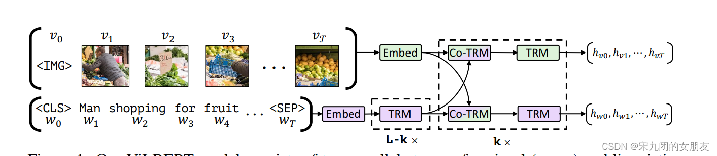 经典多模态论文阅读笔记_vilbert-CSDN博客