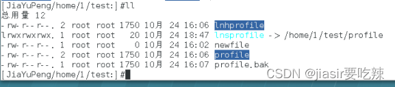 第四章实验报告——rhel常用 Linux命令操作用ls命令列出此目录下的文件和目录用 A选项列出此目录下包括隐藏文件在内的所有 Csdn博客