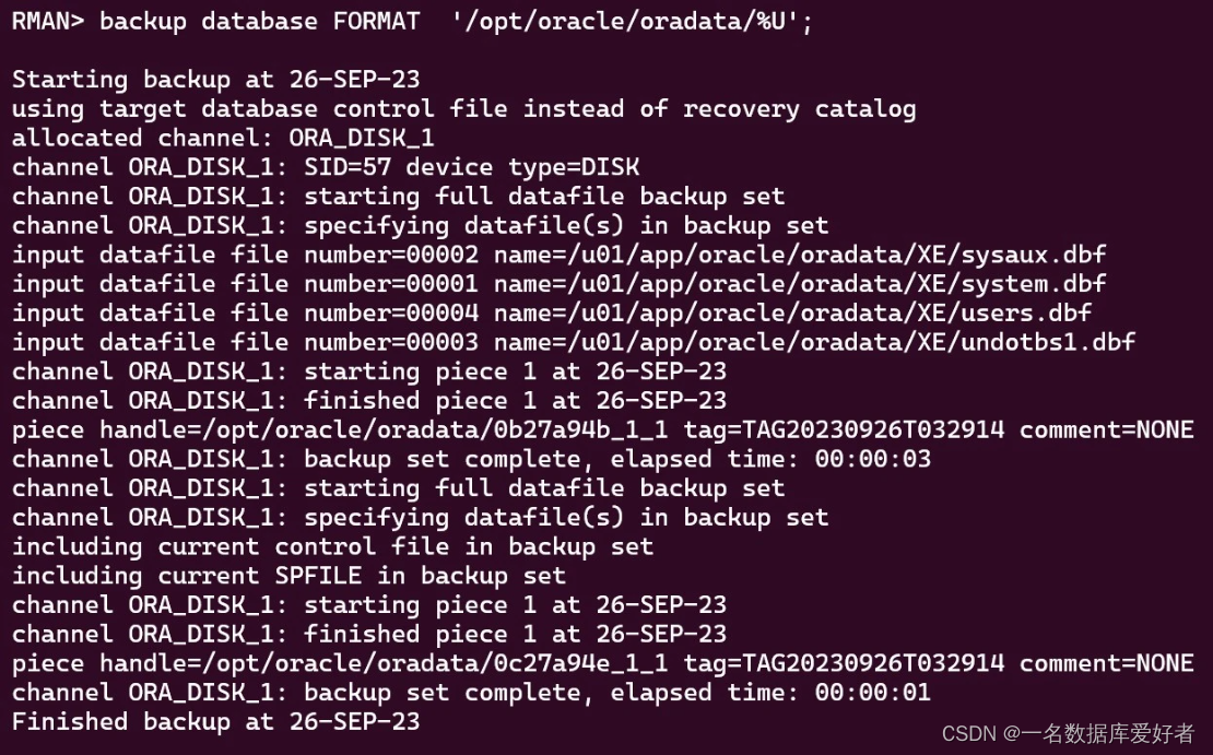 Oracle rman 备份恢复使用_rman 会备份用户么-CSDN博客