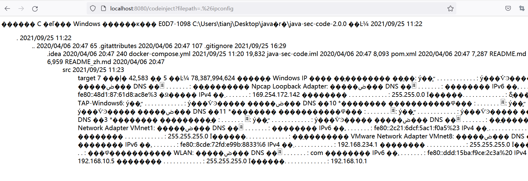 代码审计入门之java-sec-code_白面安全猿的博客-CSDN博客