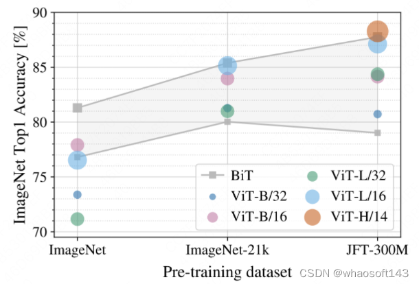 VIT~~6_vit模型的输入可以是文本吗-CSDN博客