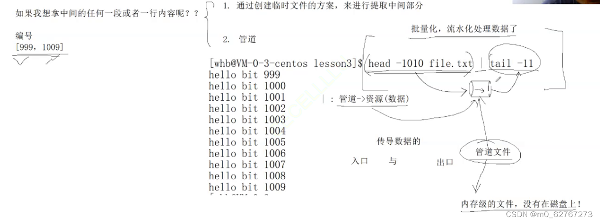 Linux常见指令 Csdn博客 
