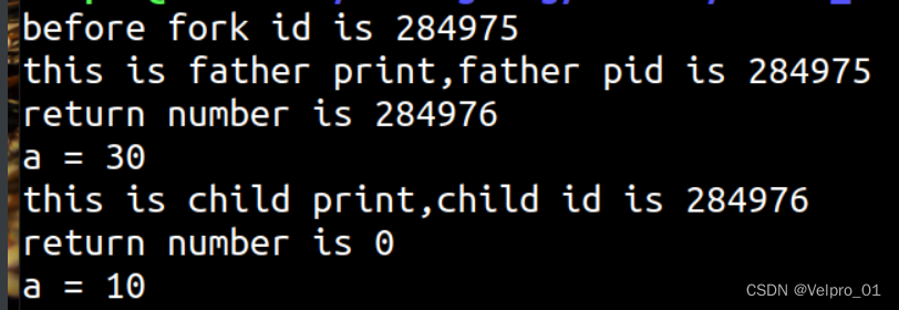 fork进程空间分配_fork后进程空间划分-CSDN博客