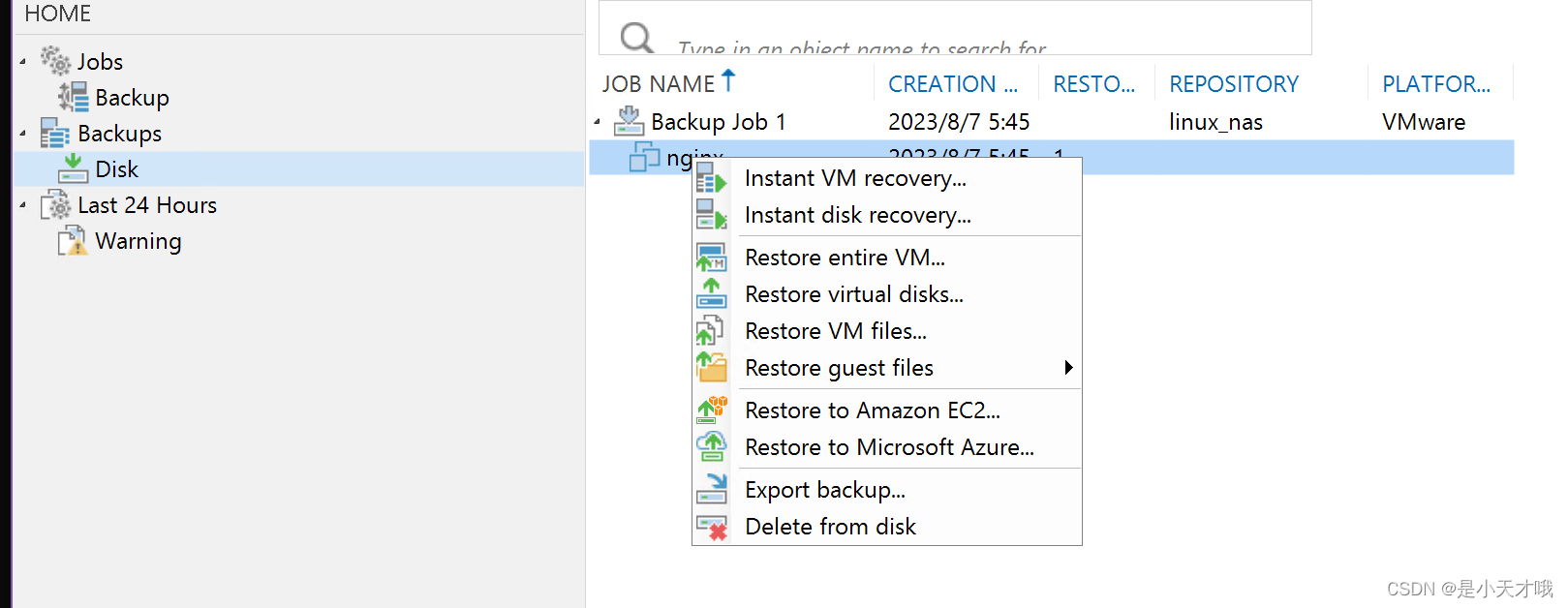 Veeam-VBR恢复-概述_veeam instant recovery instant disk recovery-CSDN博客