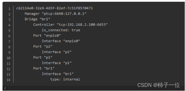 ovs-vsctl命令使用_ovs-vsctl show-CSDN博客