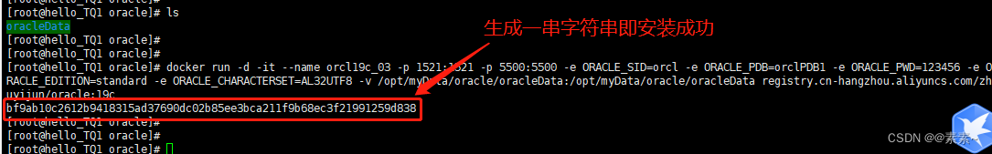 Linux下安装docker以及docker安装Oracle19c的全部详细过程及各种问题解决-CSDN博客