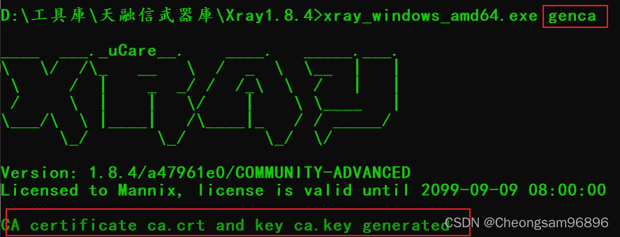 Xray CA证书配置_xray证书-CSDN博客
