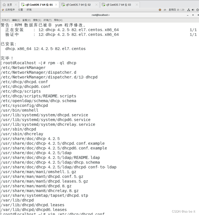 linux DHCP_linux怎么启动hpptd服务-CSDN博客