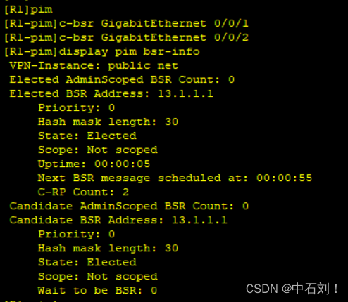 PIM-SM实验配置及验证_pim-sm ssm 试验-CSDN博客