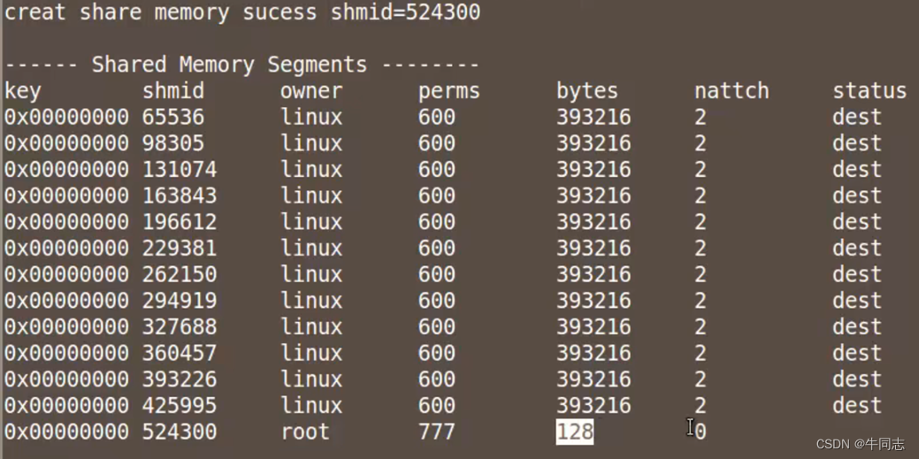 Linux---进程通信（四）---IPC通信之共享内存-CSDN博客