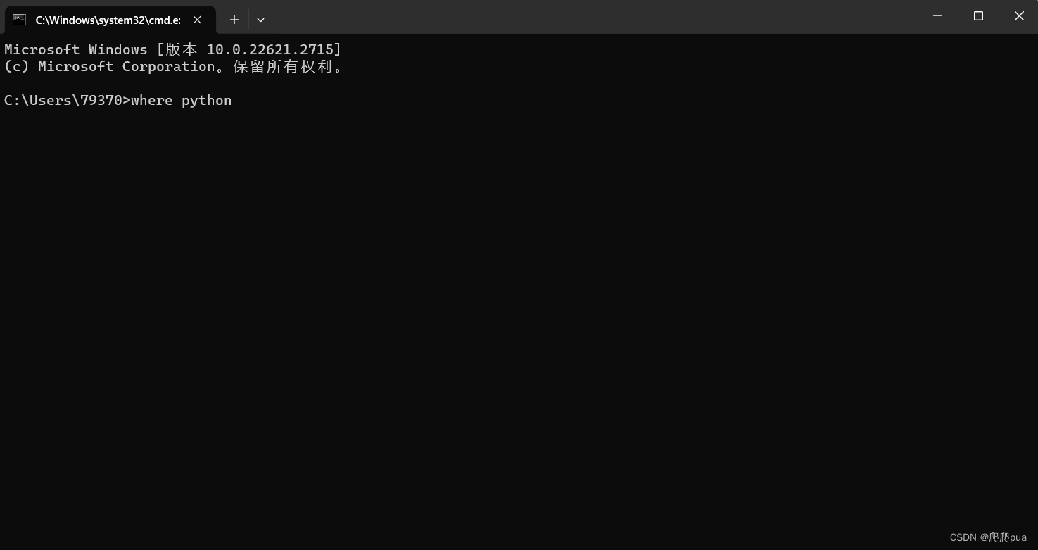 系统Windows11下Python配置环境变量_win11配置python环境变量-CSDN博客