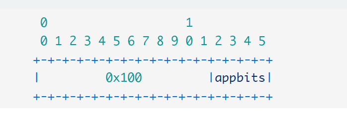 RTP head expansion - Programmer Sought