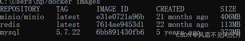 Docker 搭建 Minio 分布式文件系统_minio 端口 9000 9090-CSDN博客