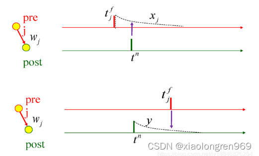 Spike Timing Dependent Plasticity（STDP）-CSDN博客