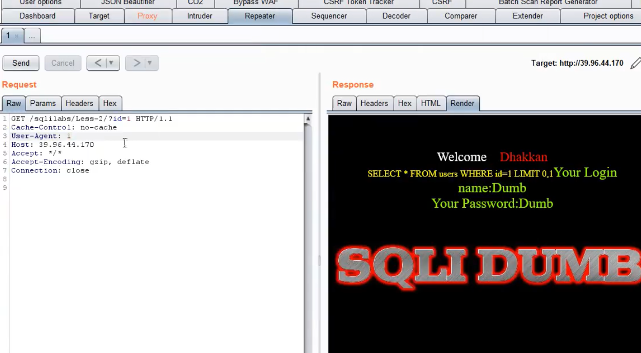 第19天-WEB漏洞-SQL注入之SQLMAP绕过WAF_sqlmap会被发现吗-CSDN博客