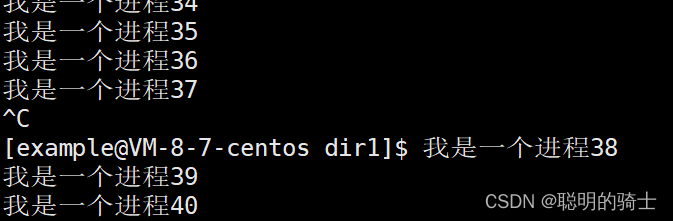Linux进程概念_linux tast-CSDN博客