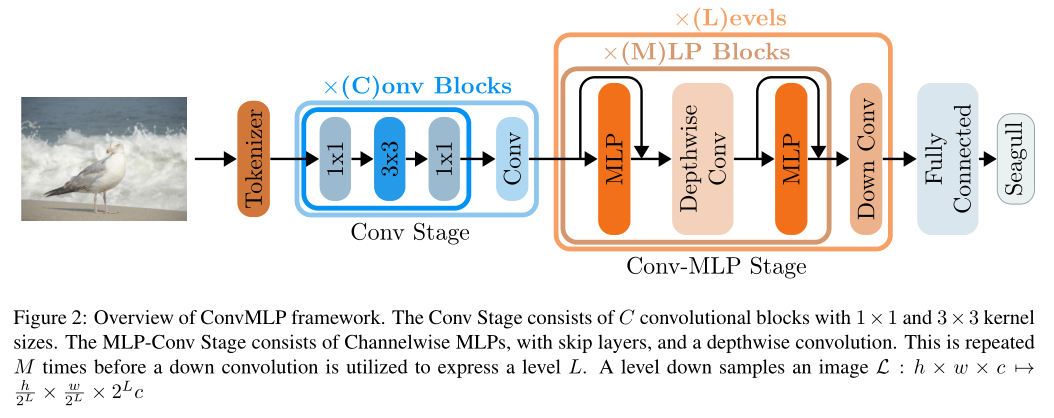 论文阅读笔记 | MLP系列——MLP部分汇总（Cycle-MLP，Hire-MLP，Sparse-MLP，ConvMLP）-CSDN博客